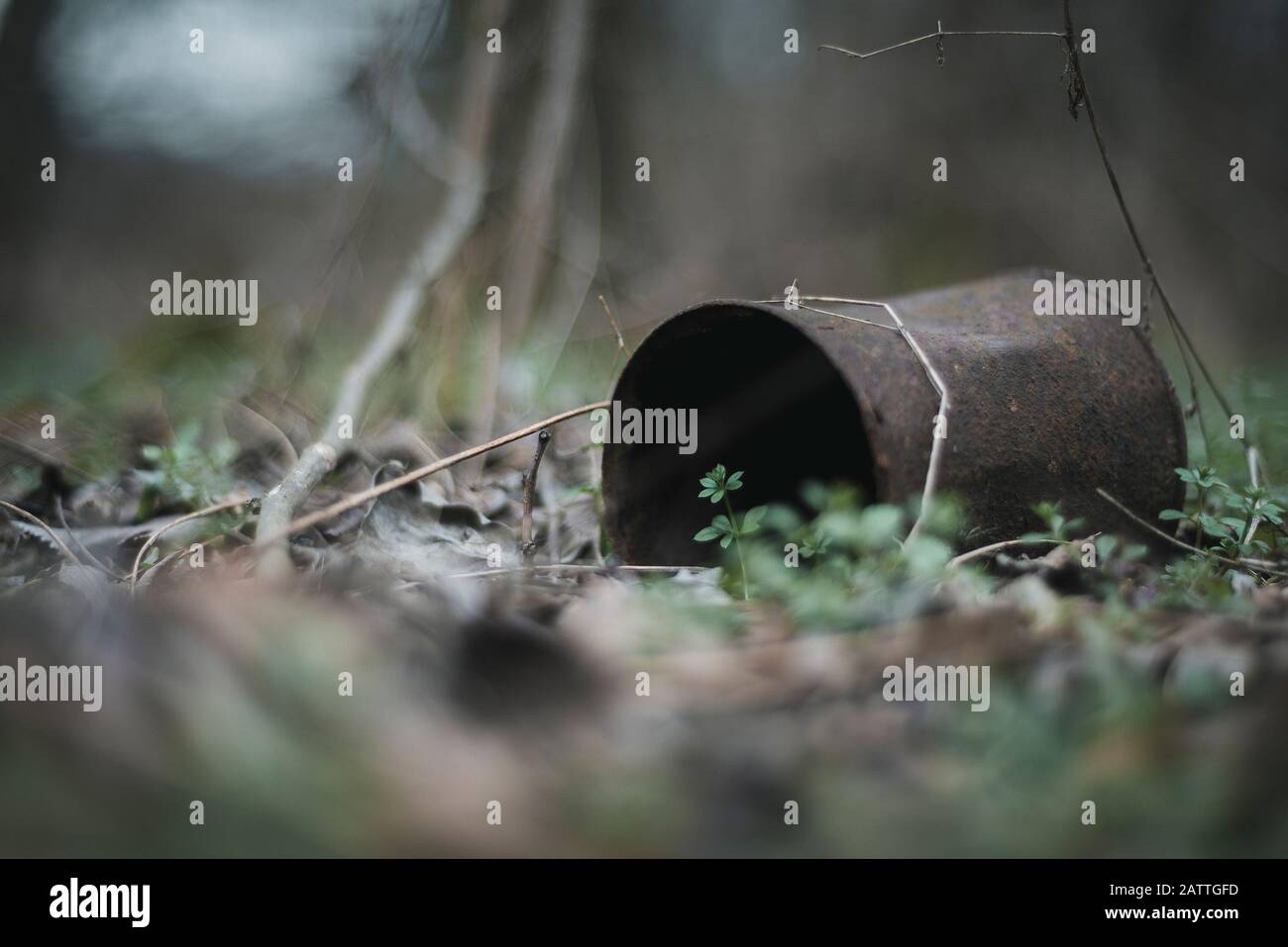 Old rusty food can in the woods Stock Photo - Alamy