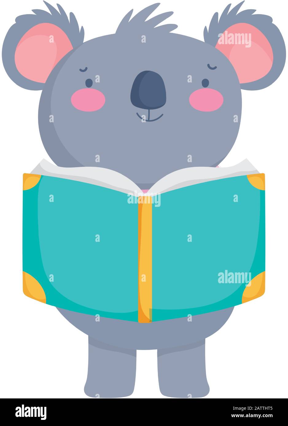 back to school education cute koala reading book knowledge vector ...