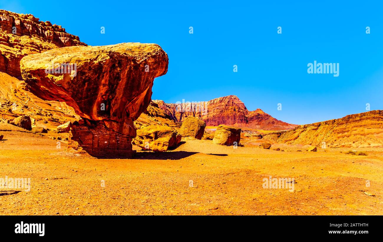 Large Balanced Rock Toadstool near Lee's Ferry in Glen Canyon National ...