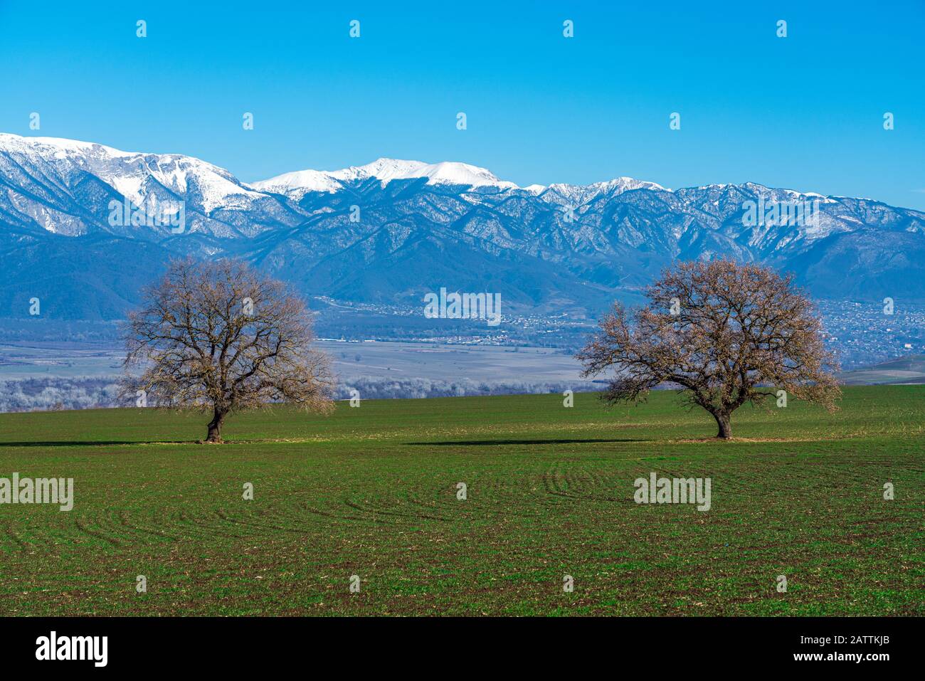 Wallpaper Growth High Resolution Stock Photography and Images - Alamy
