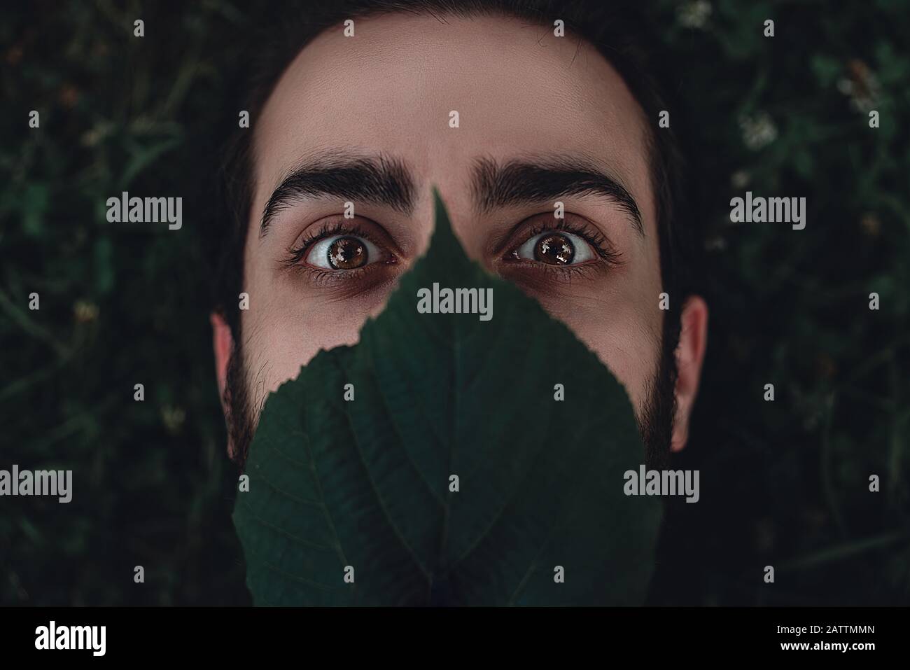The beautiful-face young man has a mask-style plant on his face, the ...