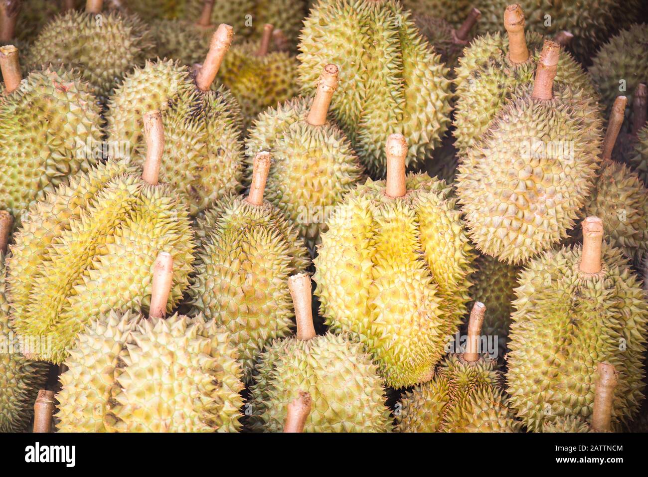 Durian fruit on texture background for sale in the tropical fruit ...