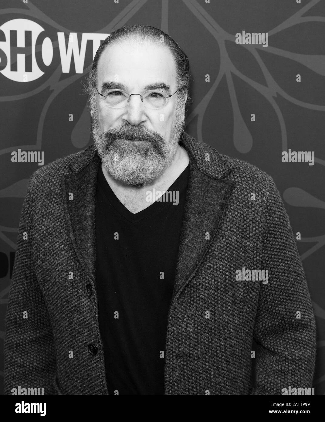 New York, NY - February 4, 2020: Mandy Patinkin attends the Homeland ...