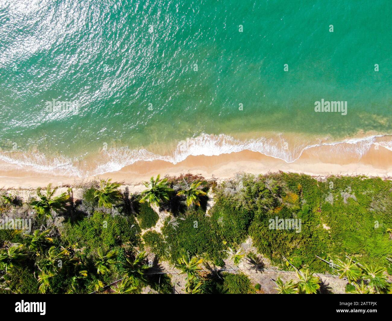 Aerial view of tropical ocean turquoise water and palm trees forest ...