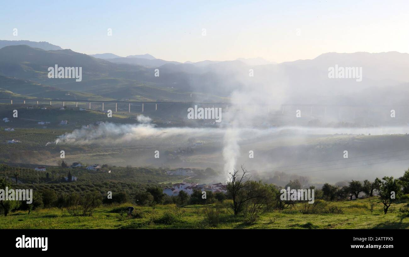 Burning Olive Tree Prunings in Andalusian Valley Stock Photo - Alamy