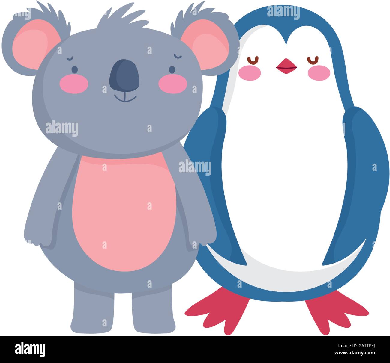cute penguin and koala cartoon on white background vector illustration ...