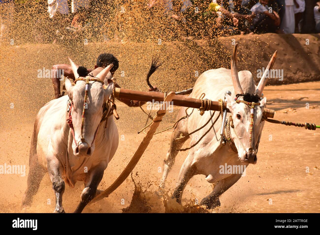 Plough through mud hi-res stock photography and images - Alamy