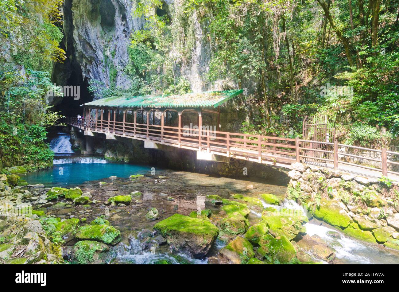 Akiyoshi cave in Mine town, Yamaguchi, Japan Stock Photo - Alamy