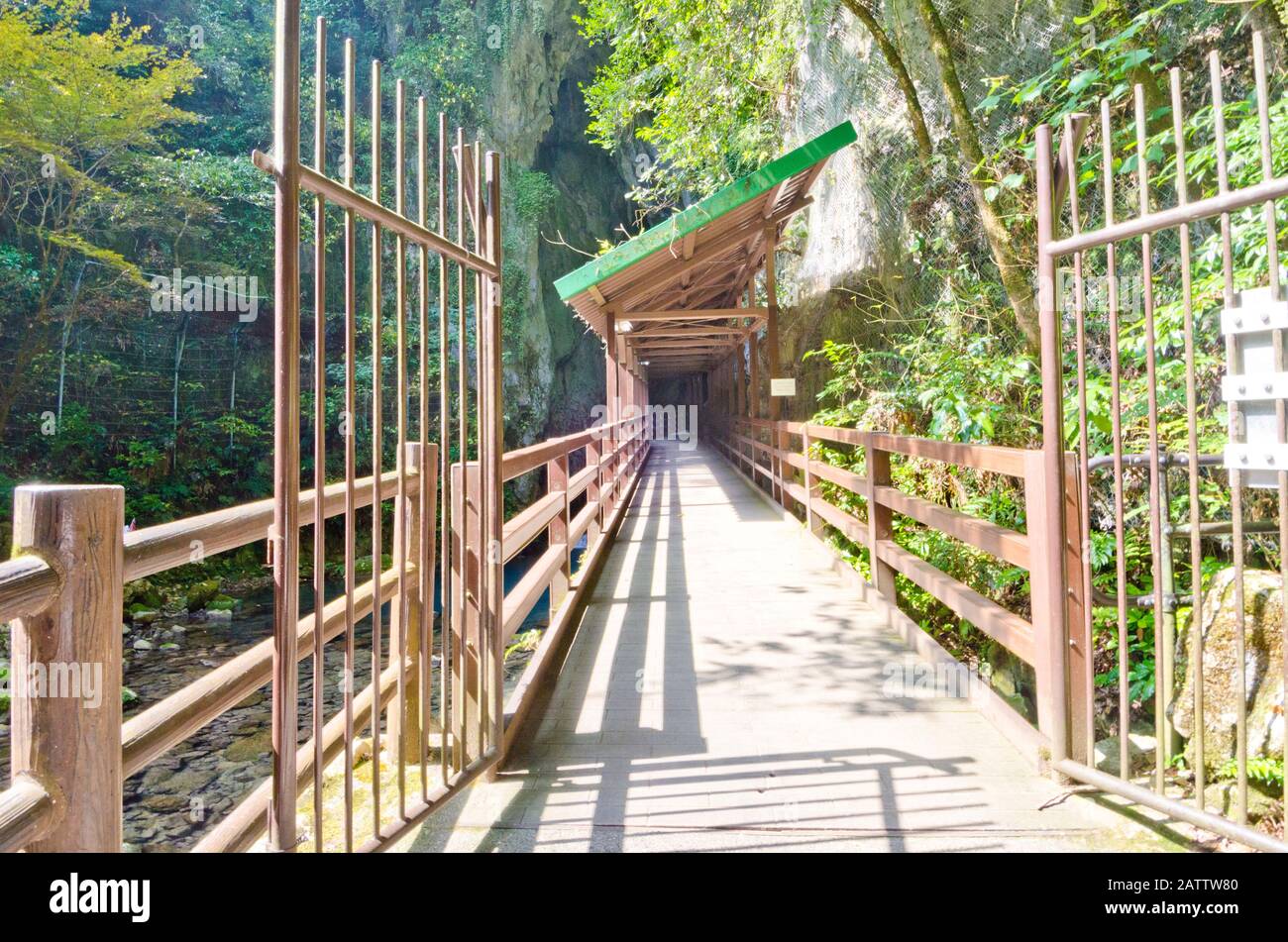 Akiyoshi cave in Mine town, Yamaguchi, Japan Stock Photo - Alamy