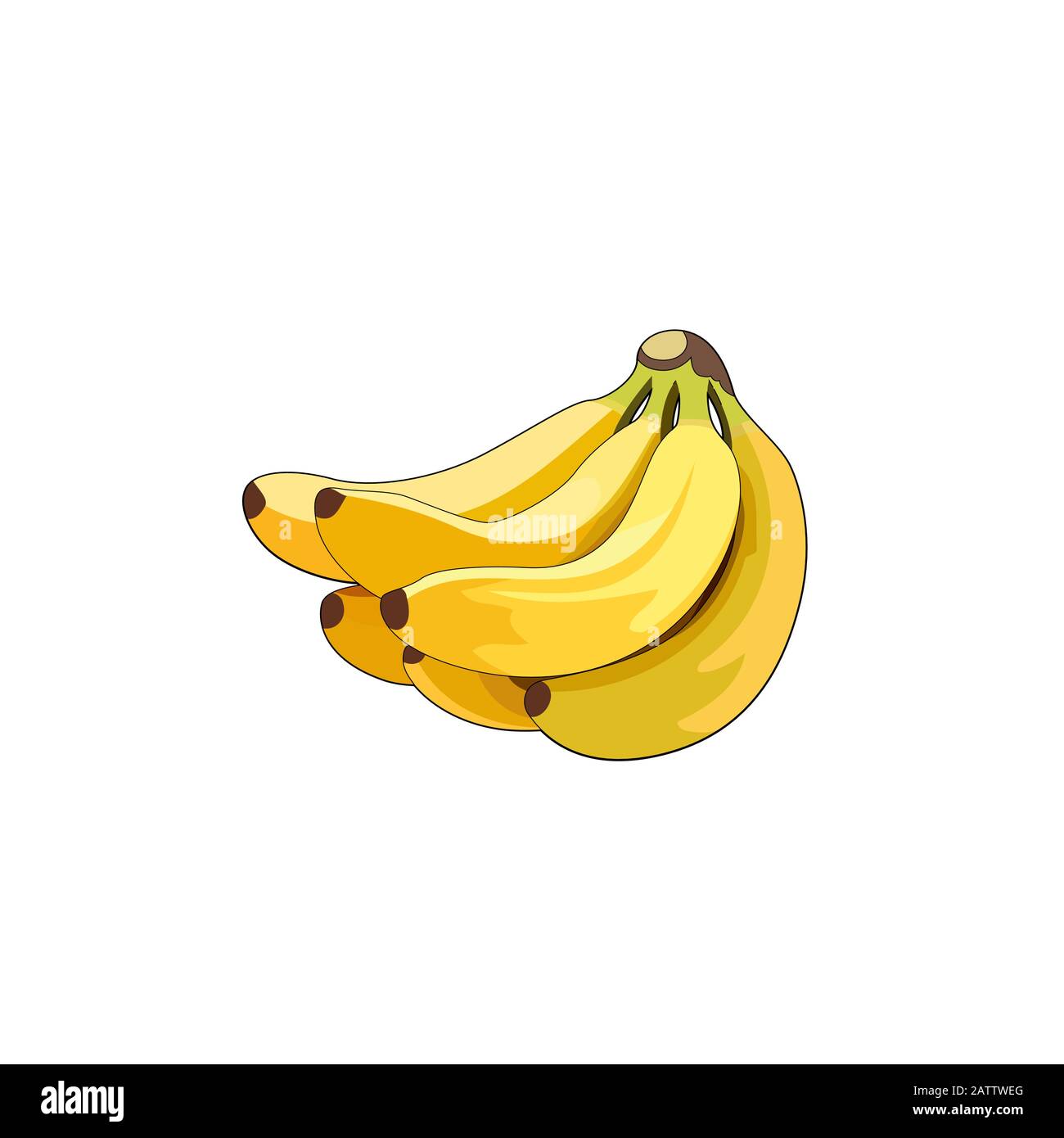 Fruit Graphic Banana