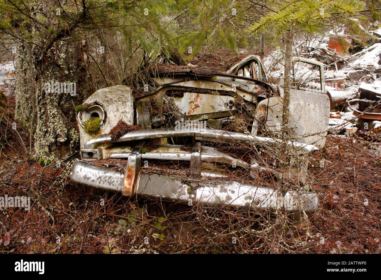 A wrecked 1951 Chrysler Suburban 2-door Station Wagon abandoned at an ...