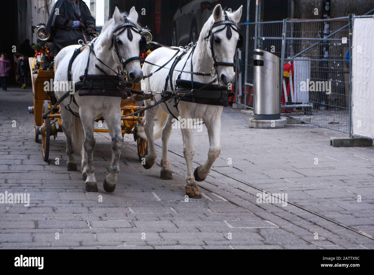 Old horse and carriage hi-res stock photography and images - Alamy