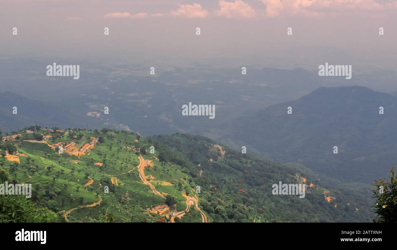 beautiful bird's eye view of coonoor tea garden near ooty hill station ...
