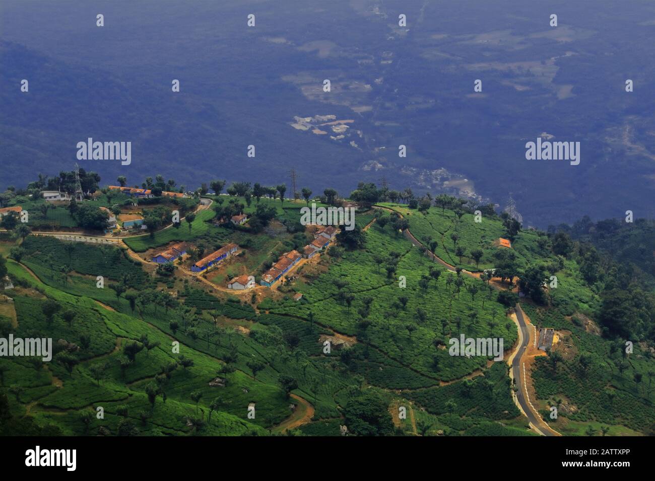 beautiful bird's eye view of coonoor tea garden near ooty hill station ...