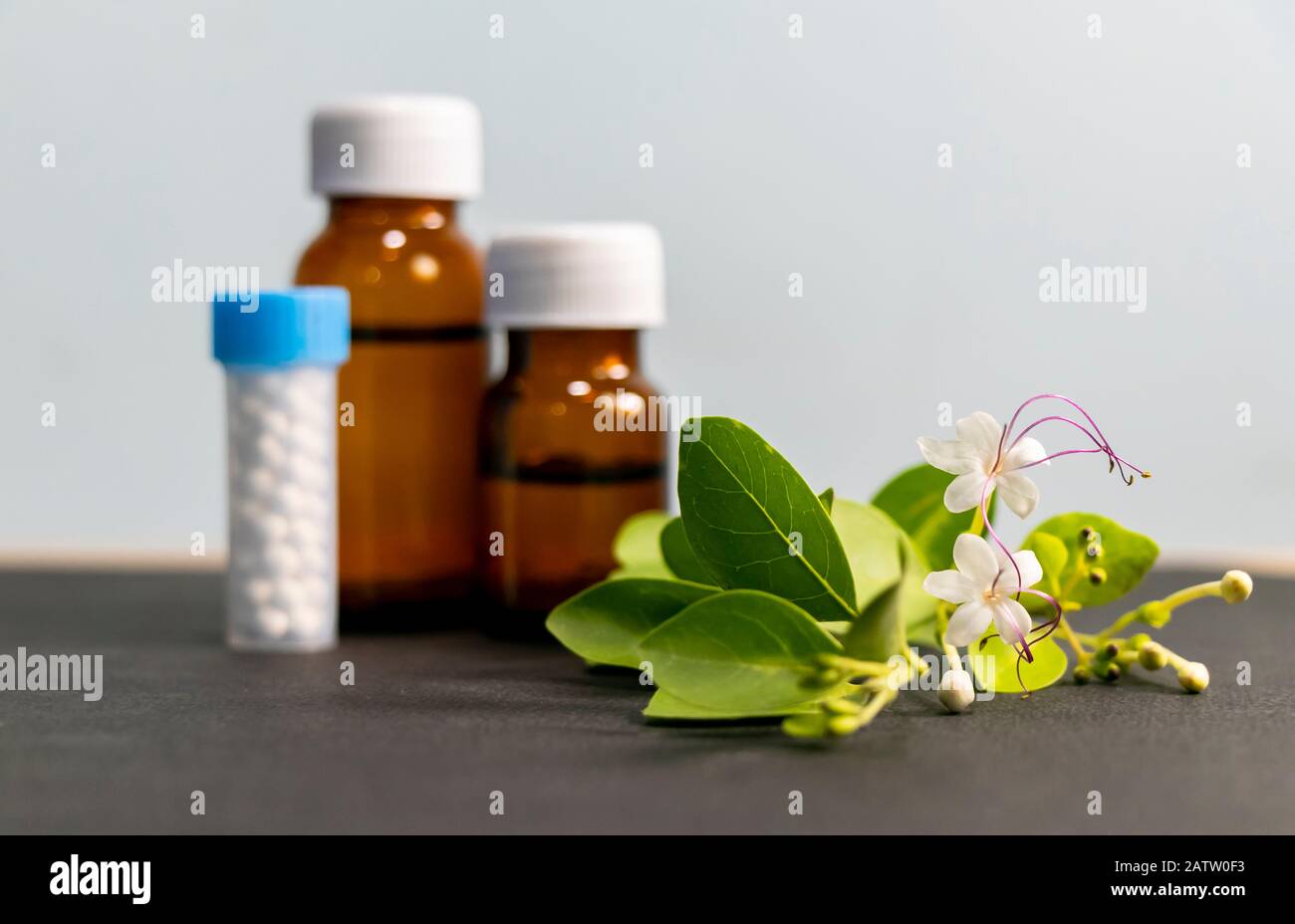 Bottle of homeopathic remedies consisting of the pills (made from an ...