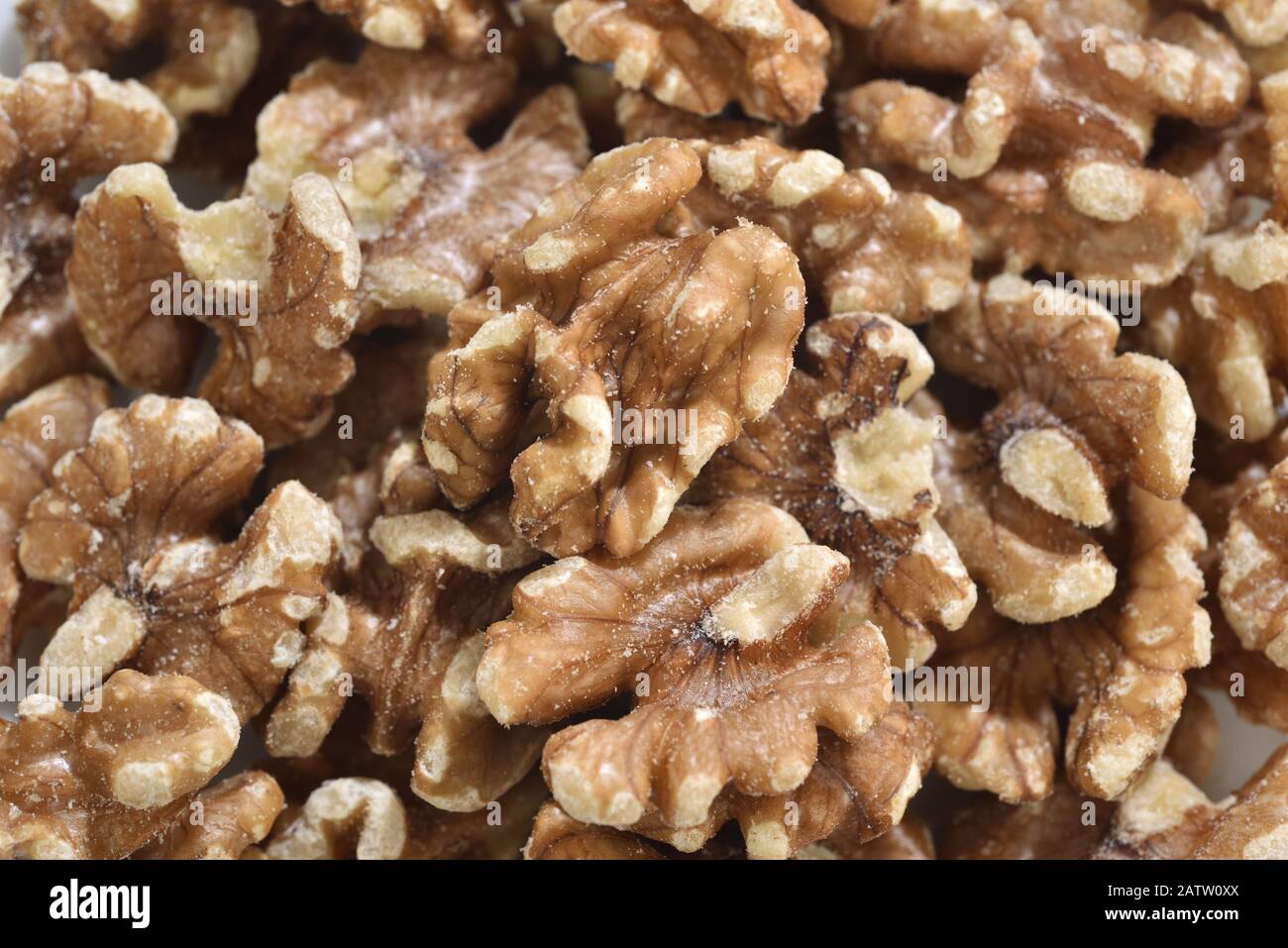the portrait of nuts Stock Photo - Alamy