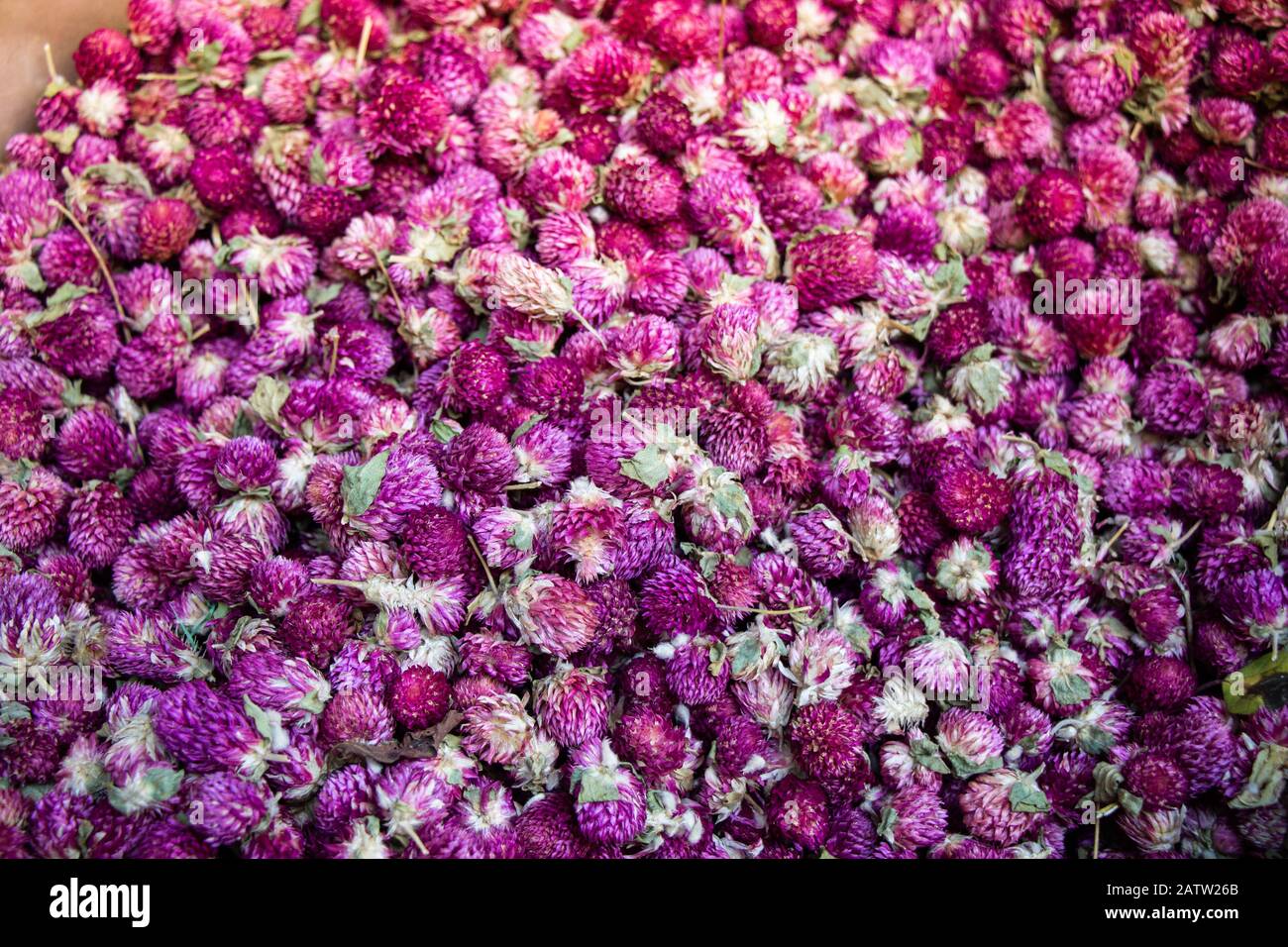 Dried flower background. Many rflowers for herbal tea cure Stock Photo ...