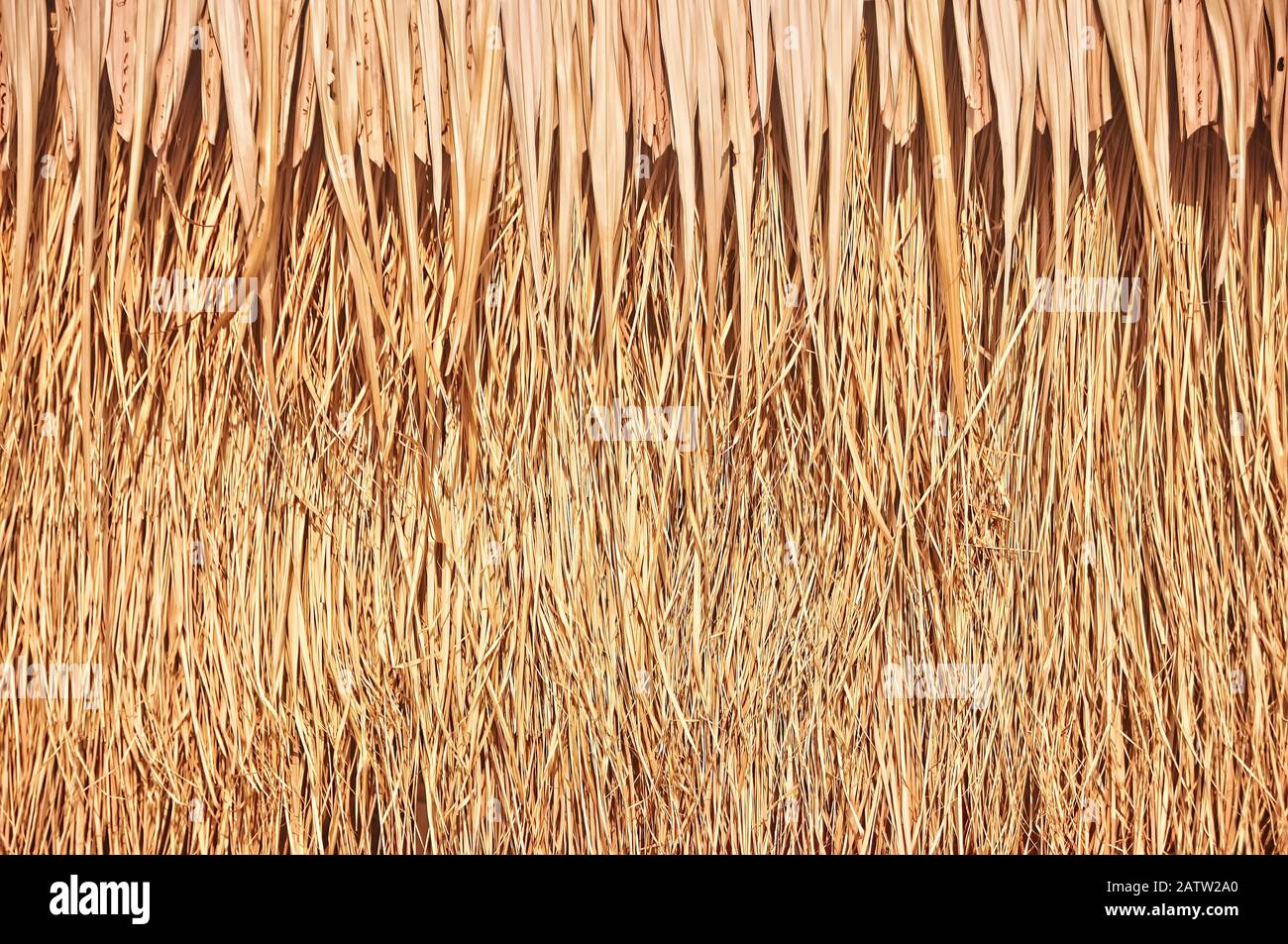 Close up of thatch roof background, Hay or dry grass background ...
