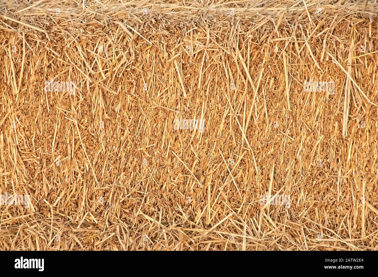 Straw surface, Reeds texture. Thatch pack canvas, Straw pack texture ...