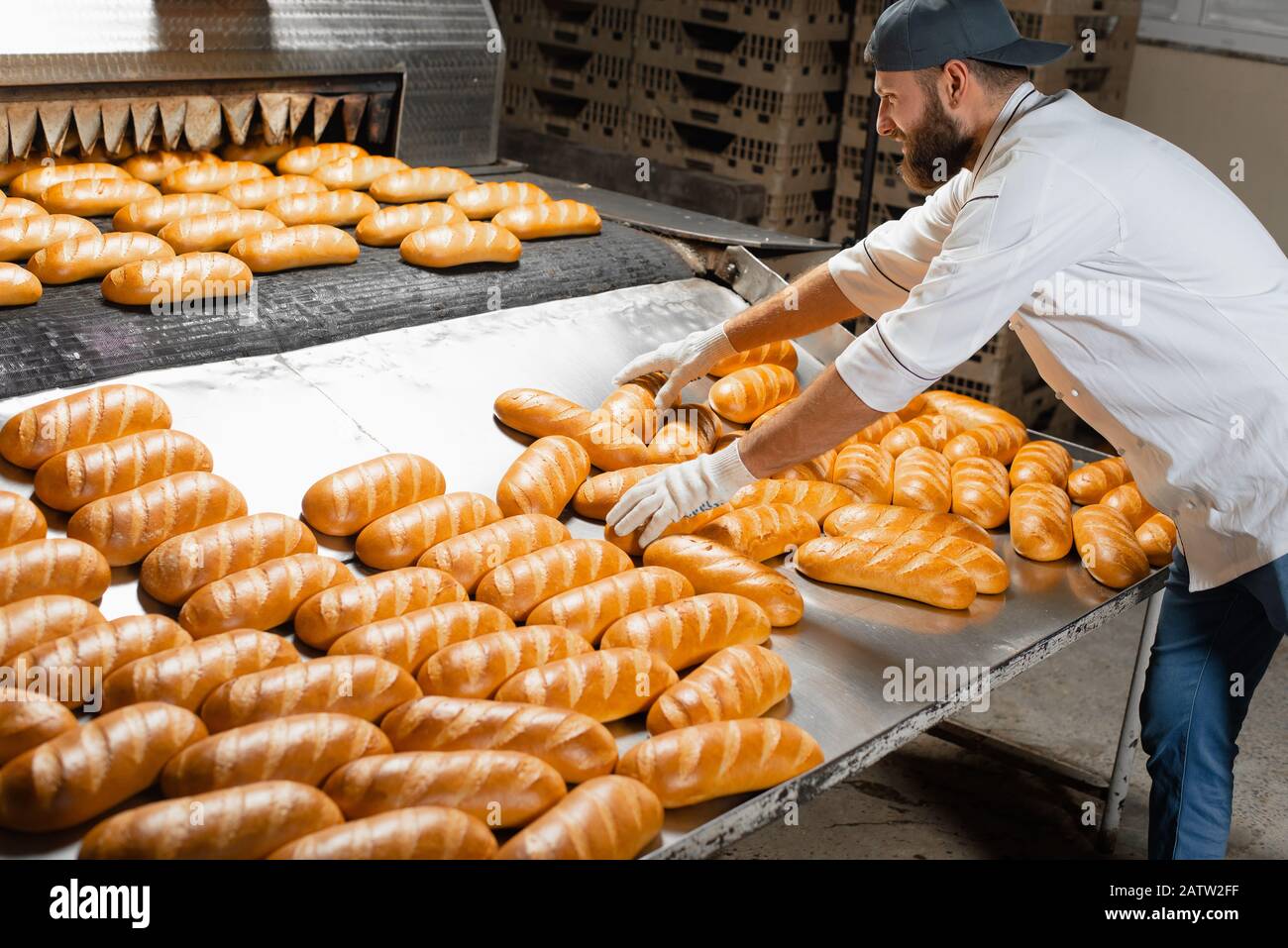 Bread making factory hi-res stock photography and images - Alamy