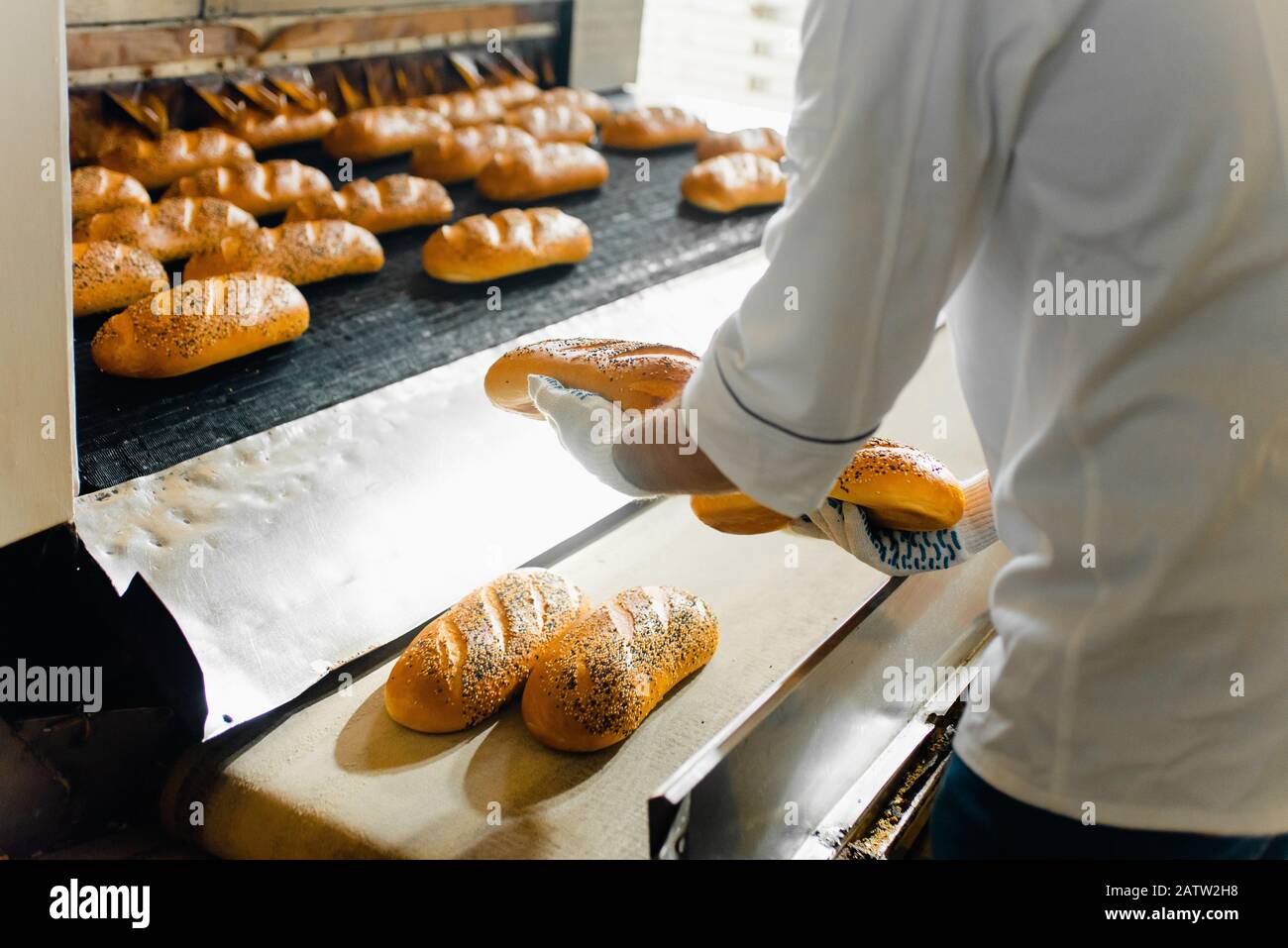 Bread making factory hi-res stock photography and images - Alamy