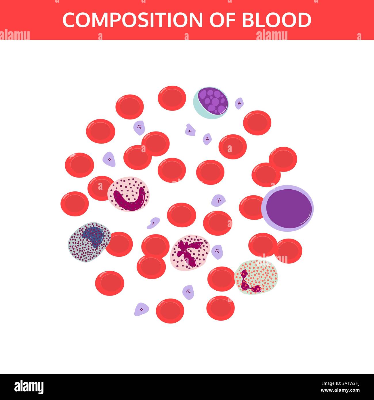 Blood Cell And Platelets High Resolution Stock Photography and Images ...