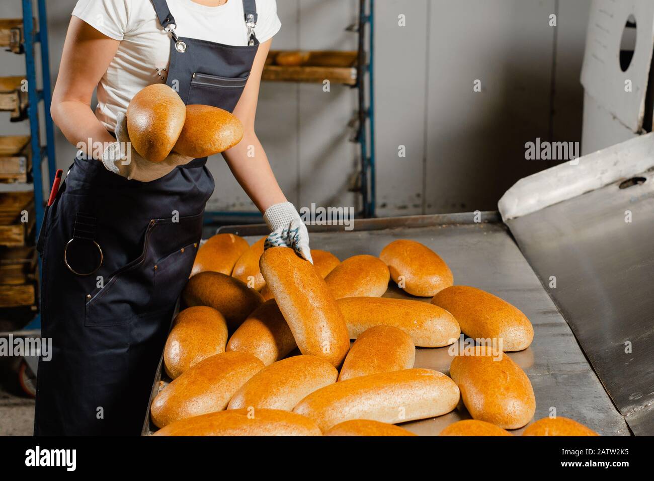 Baker's hands close-up. A baker in a bakery puts fresh bread in a box ...