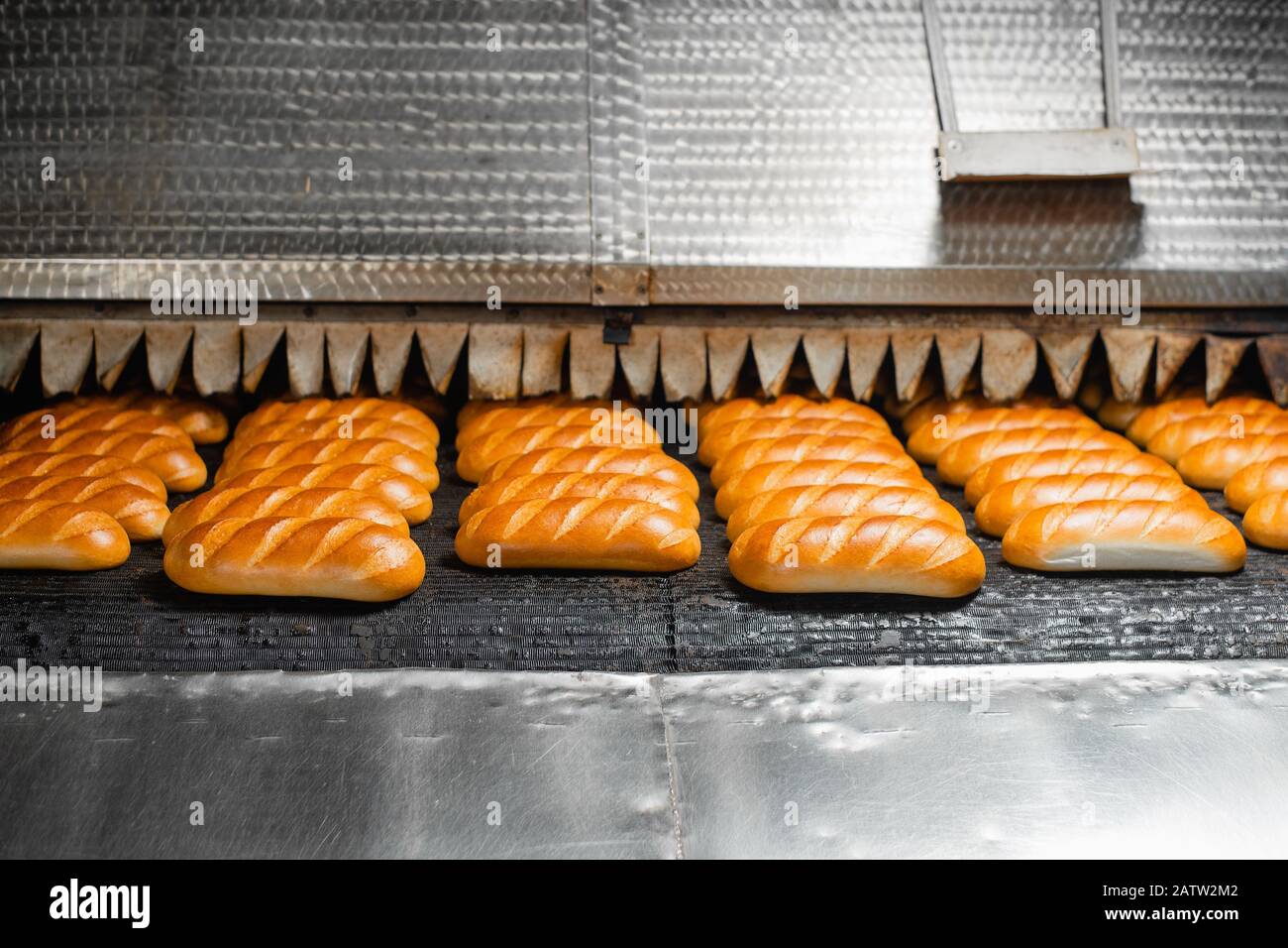 Industrial conveyor oven in a bakery. Hot bread leaves the automated ...