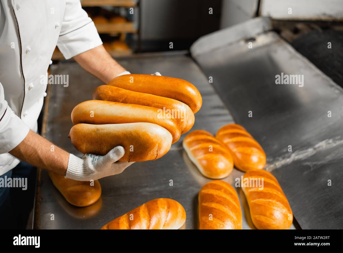 Fresh bread in the hands of a baker close-up. Industrial bread ...