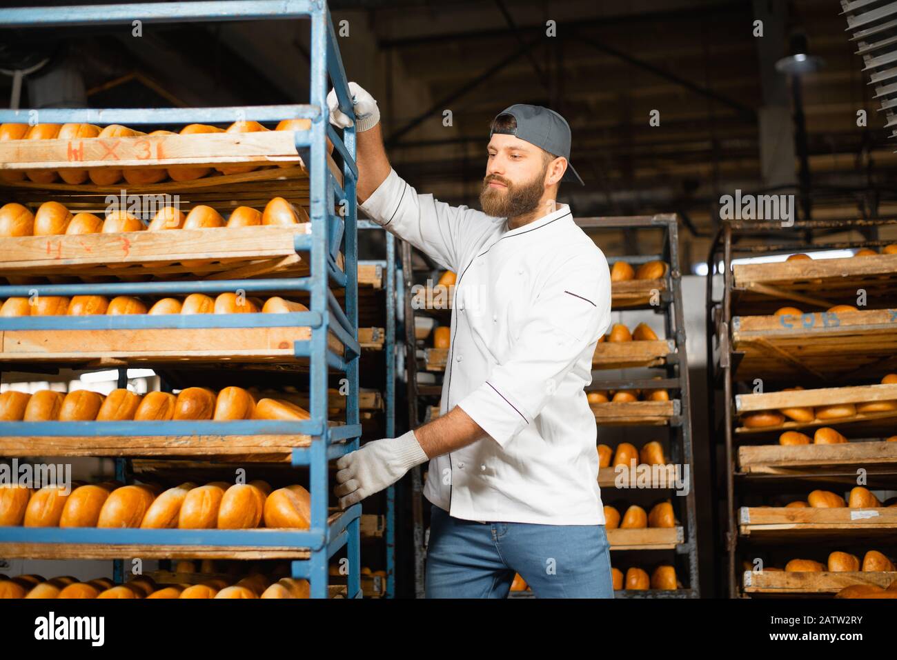 A baker carries a rack of bread at the bakery. Industrial bread ...