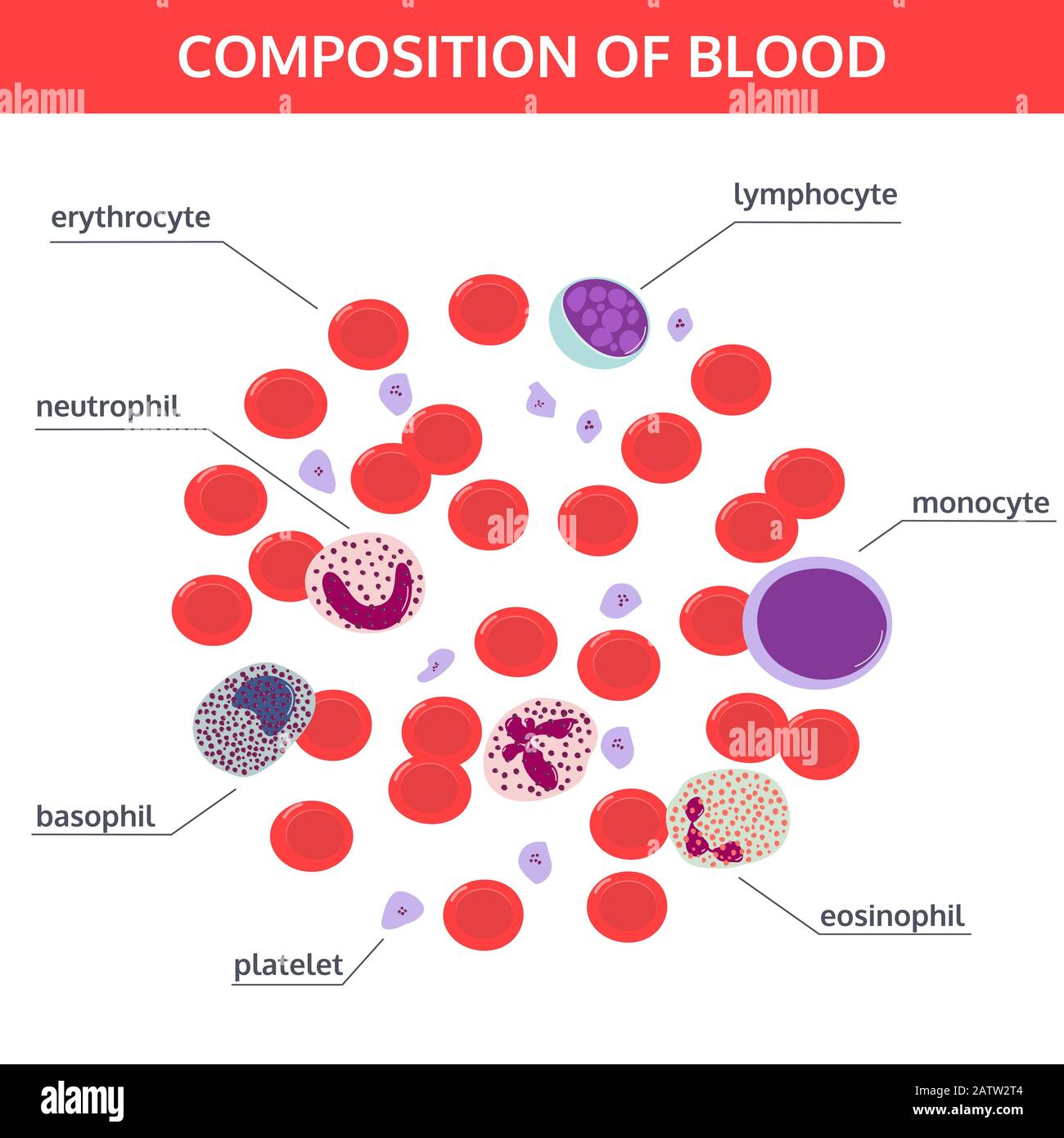 Red Haemoglobin Stock Photos & Red Haemoglobin Stock Images - Alamy