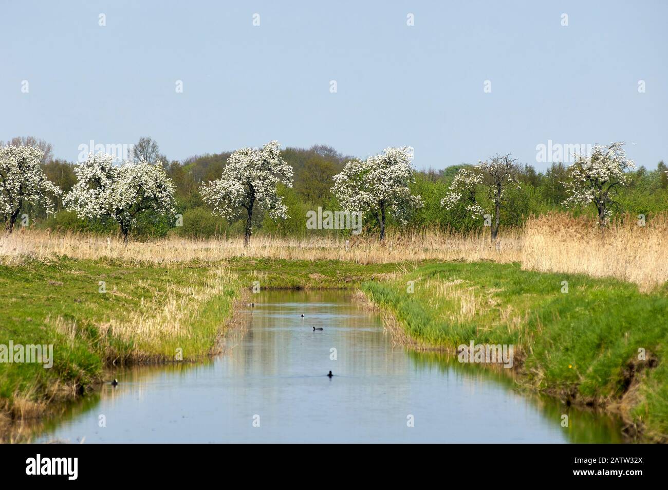 Adobe stock hi-res stock photography and images - Alamy