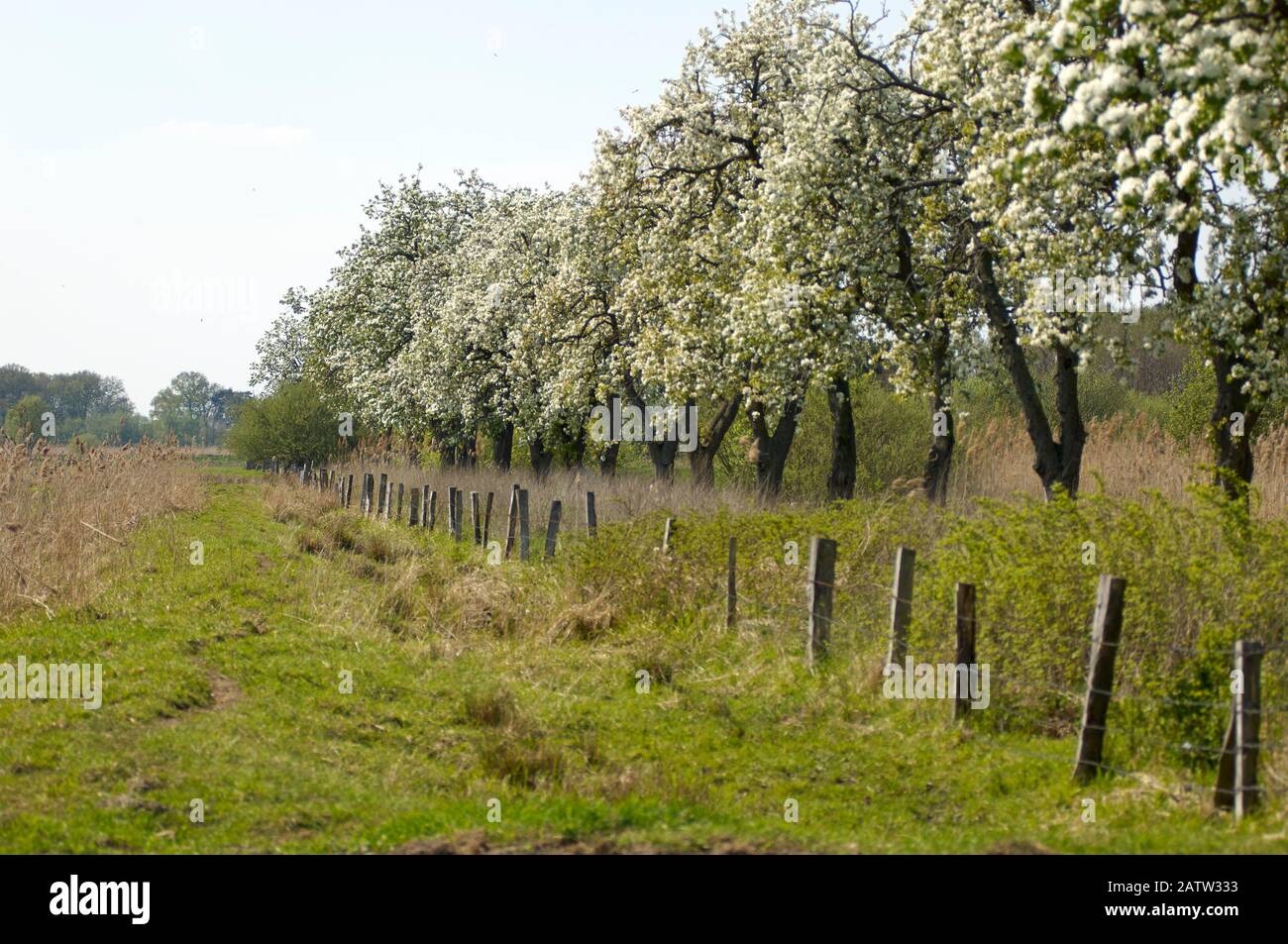 Adobe stock hi-res stock photography and images - Alamy