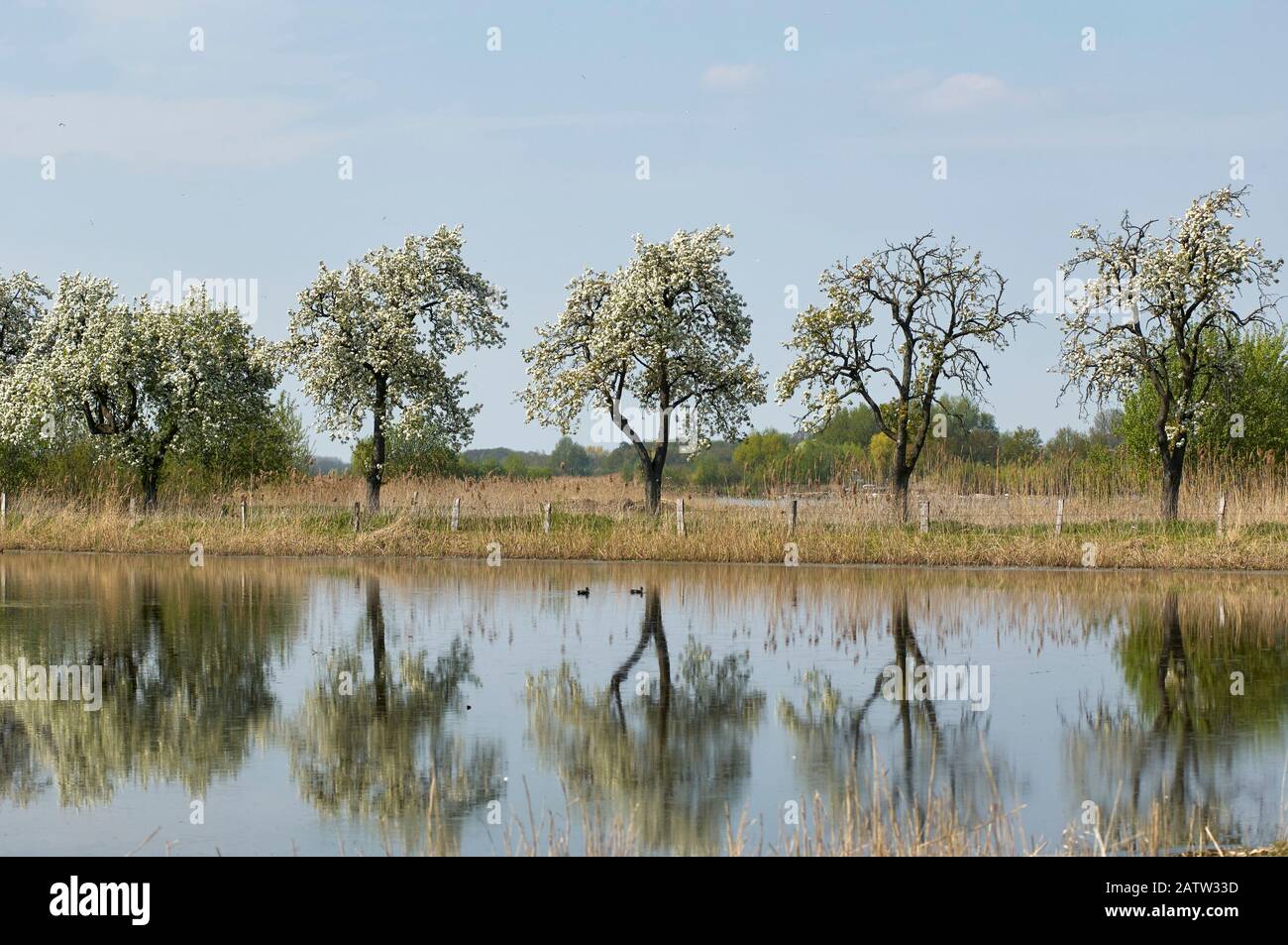 Adobe stock hi-res stock photography and images - Alamy