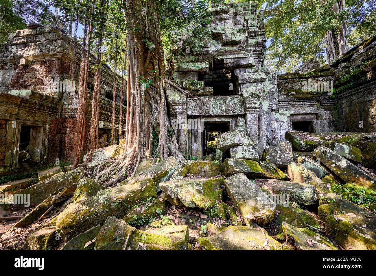 Ta Prohm temple at Angkor Wat complex, Siem Reap, Cambodia Stock Photo ...