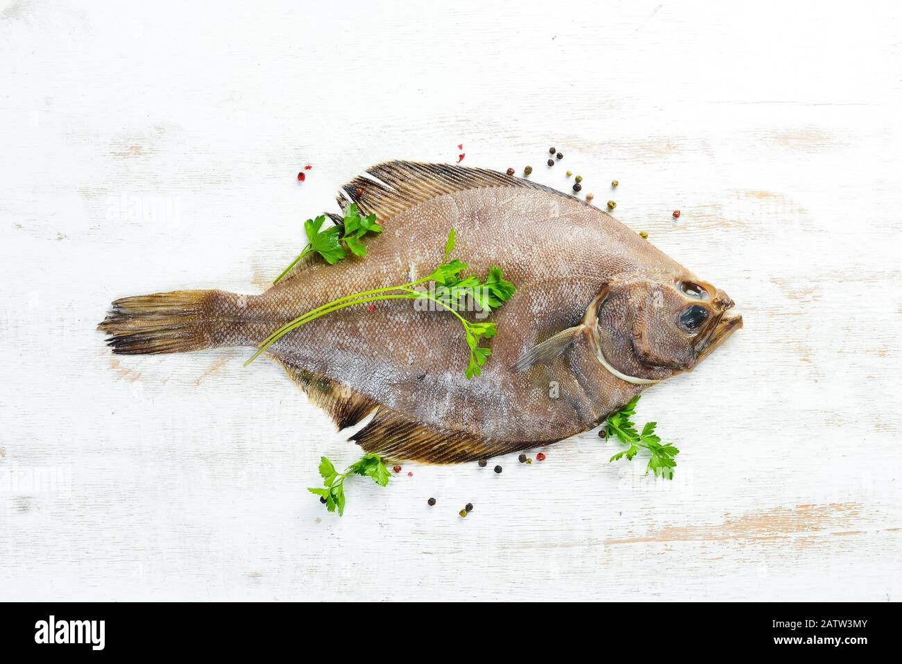 Spotted flounder hi-res stock photography and images - Alamy