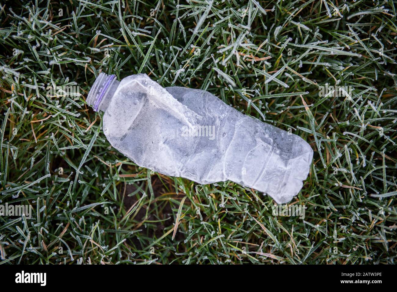 Morning frost textures at Burtonwood Stock Photo - Alamy