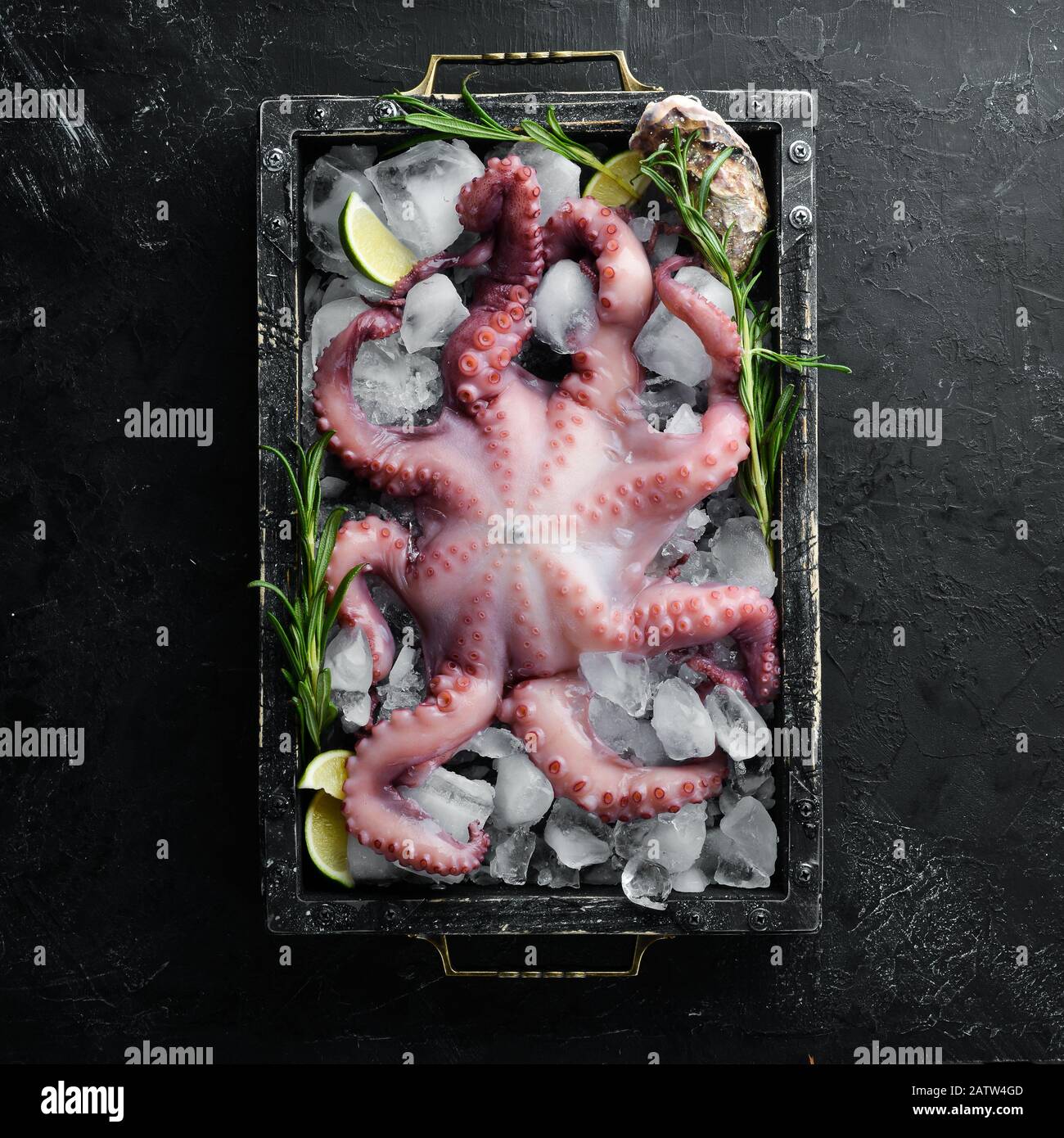 Raw octopus in a box with ice. Free space for your text. flat lay Stock ...