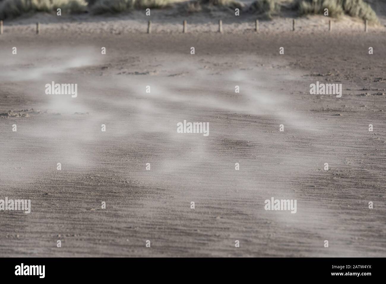 Sand blowing on a windy beach Stock Photo - Alamy