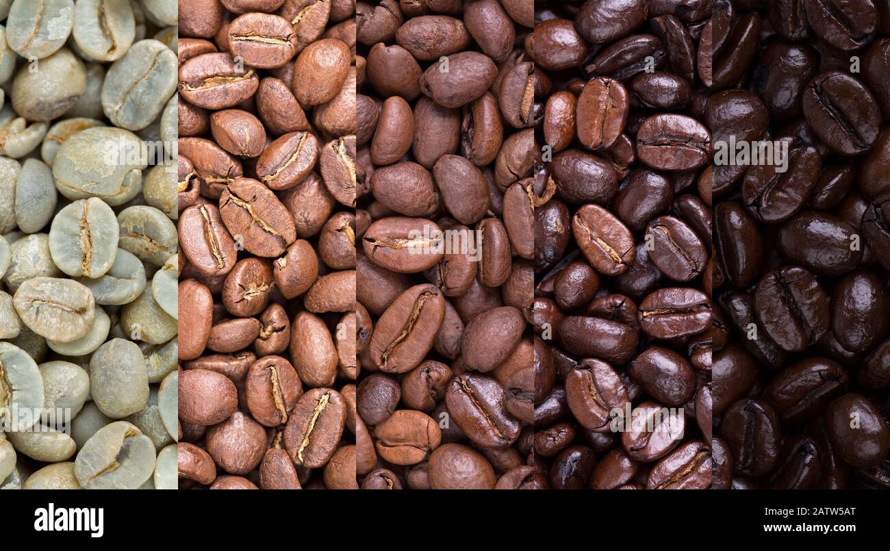 A collage of coffee beans showing various stages of roasting from raw ...