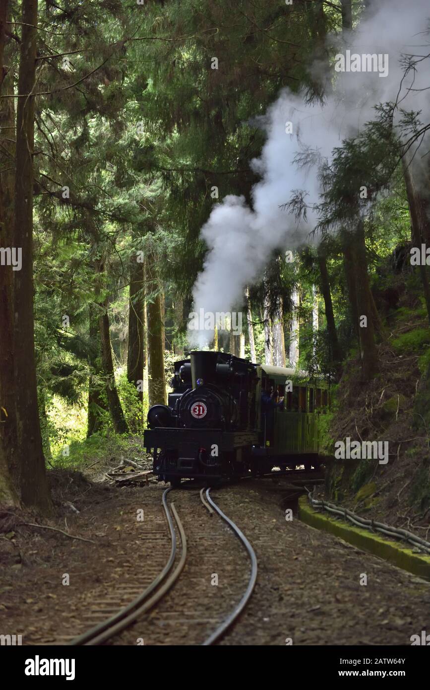 Steam train in the forest in Alishan Stock Photo - Alamy