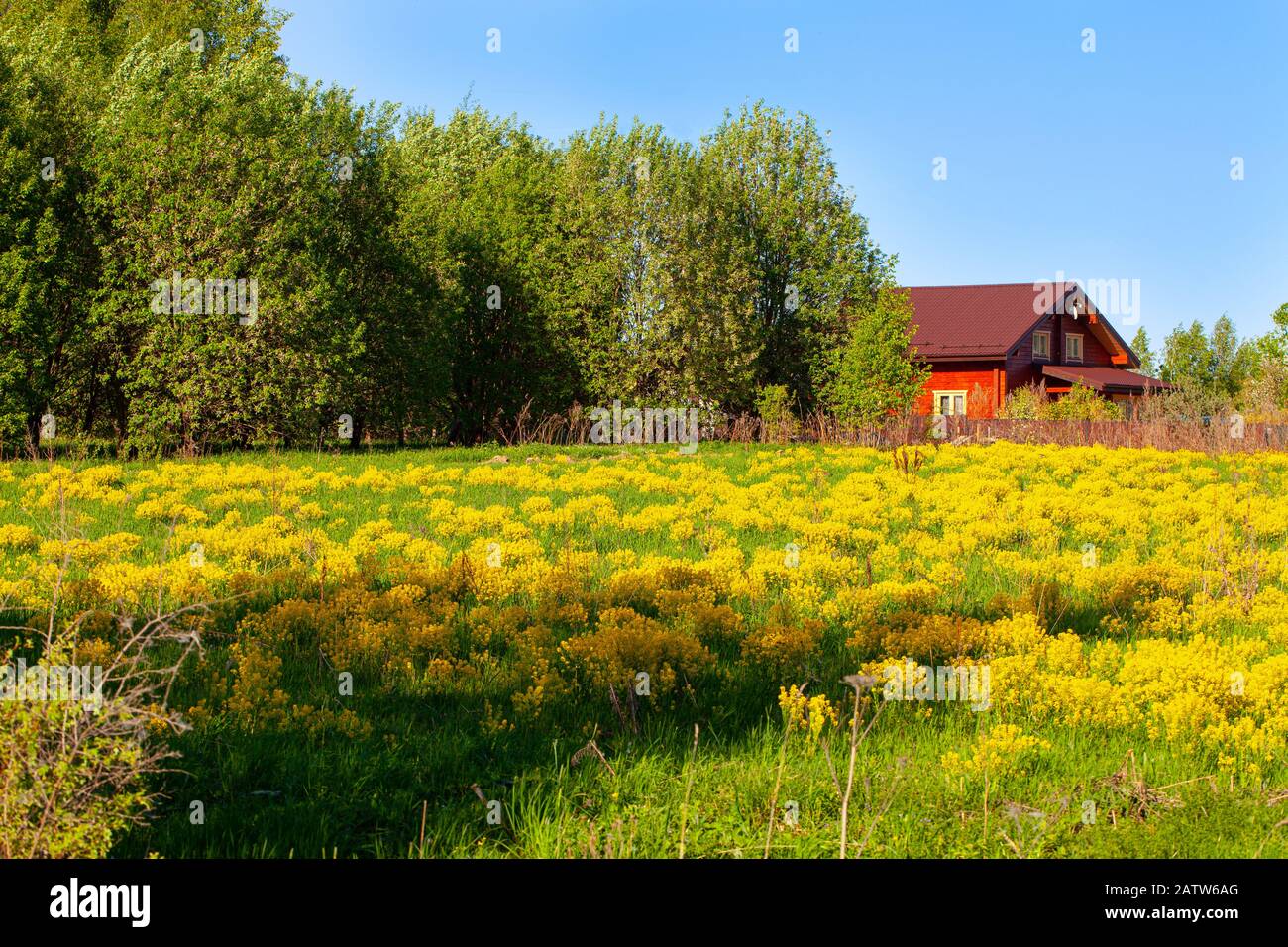 Bright spring landscape. Country landscape in bright colors of a ...