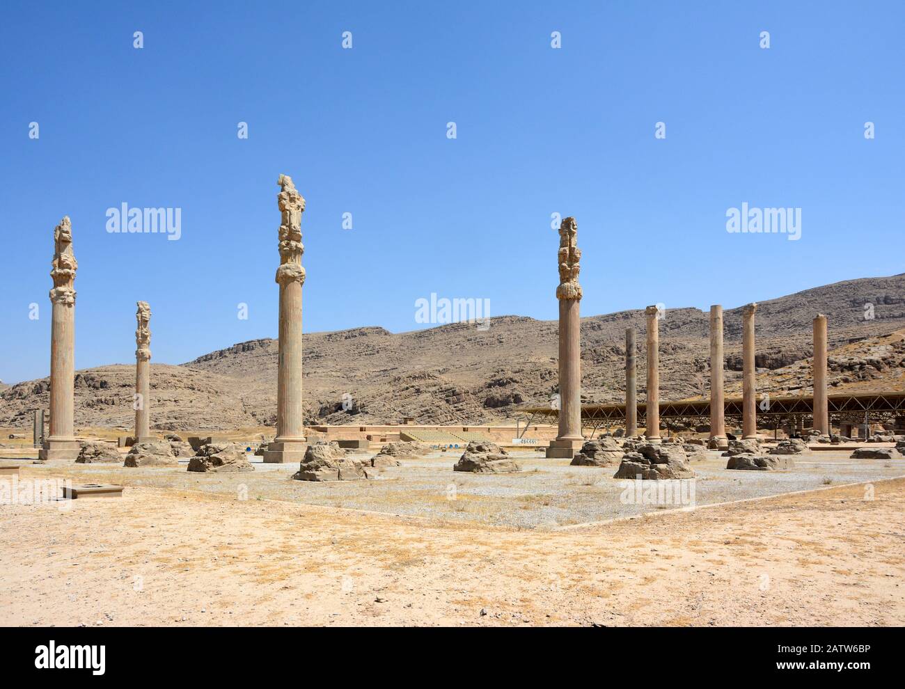 Columns of Apadana Hall in Persepolis. View from the south Stock Photo ...