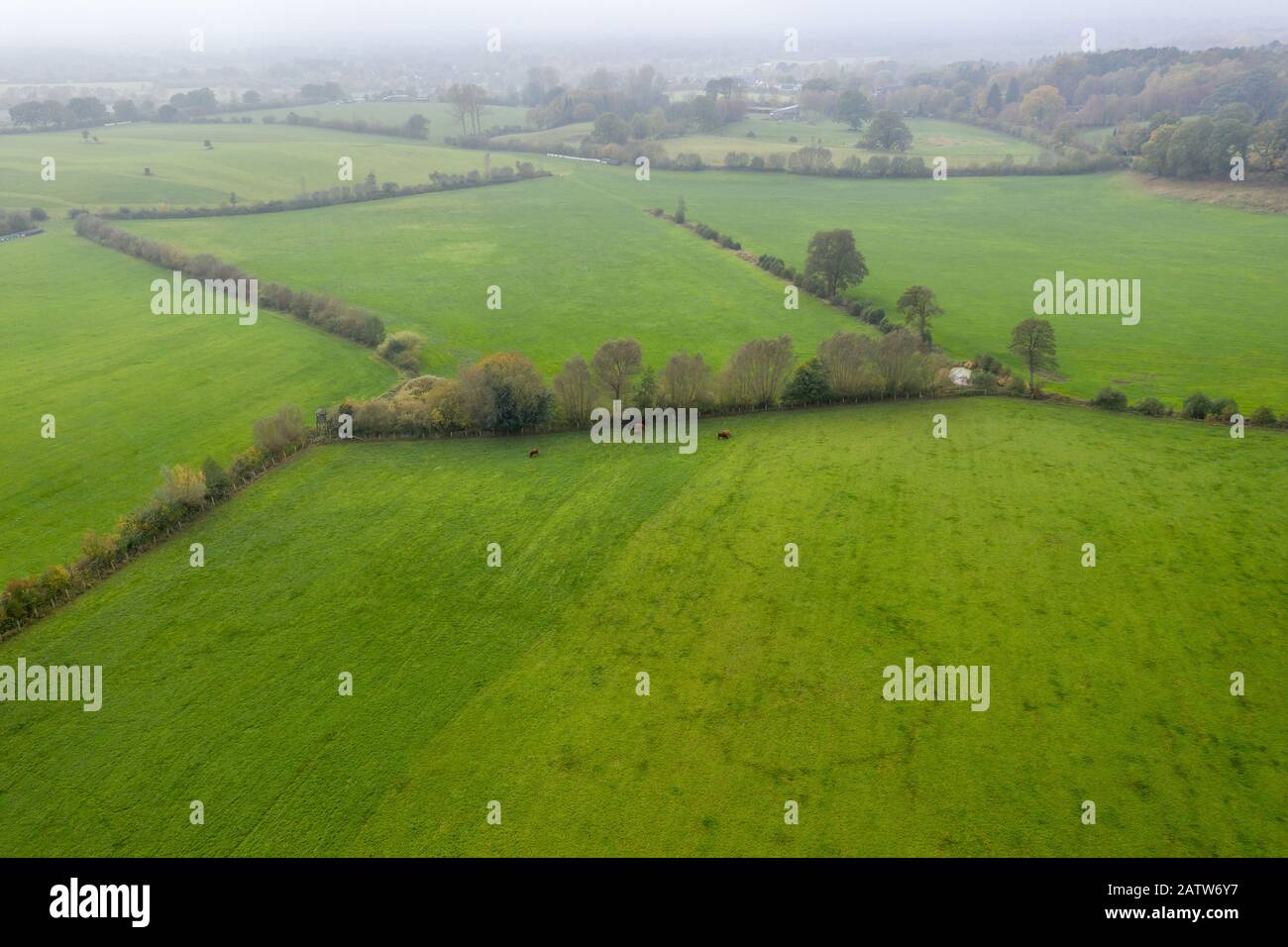 aerial view of landscape with wall hedges in northern Germany Stock ...