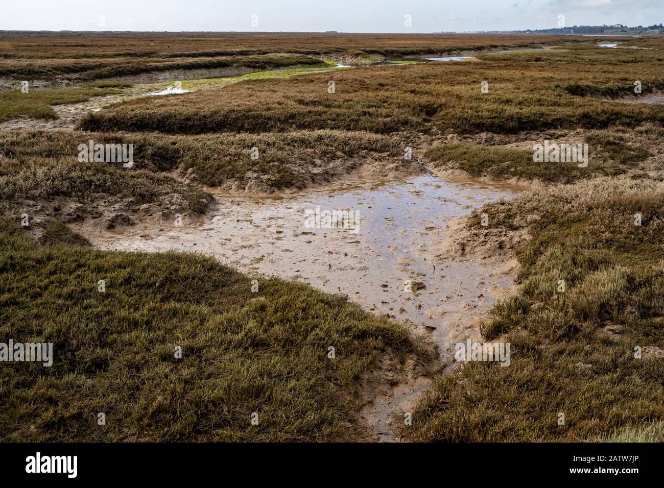 The swamp and wetlands near Barril Beach in Tavira Portugal Stock Photo ...