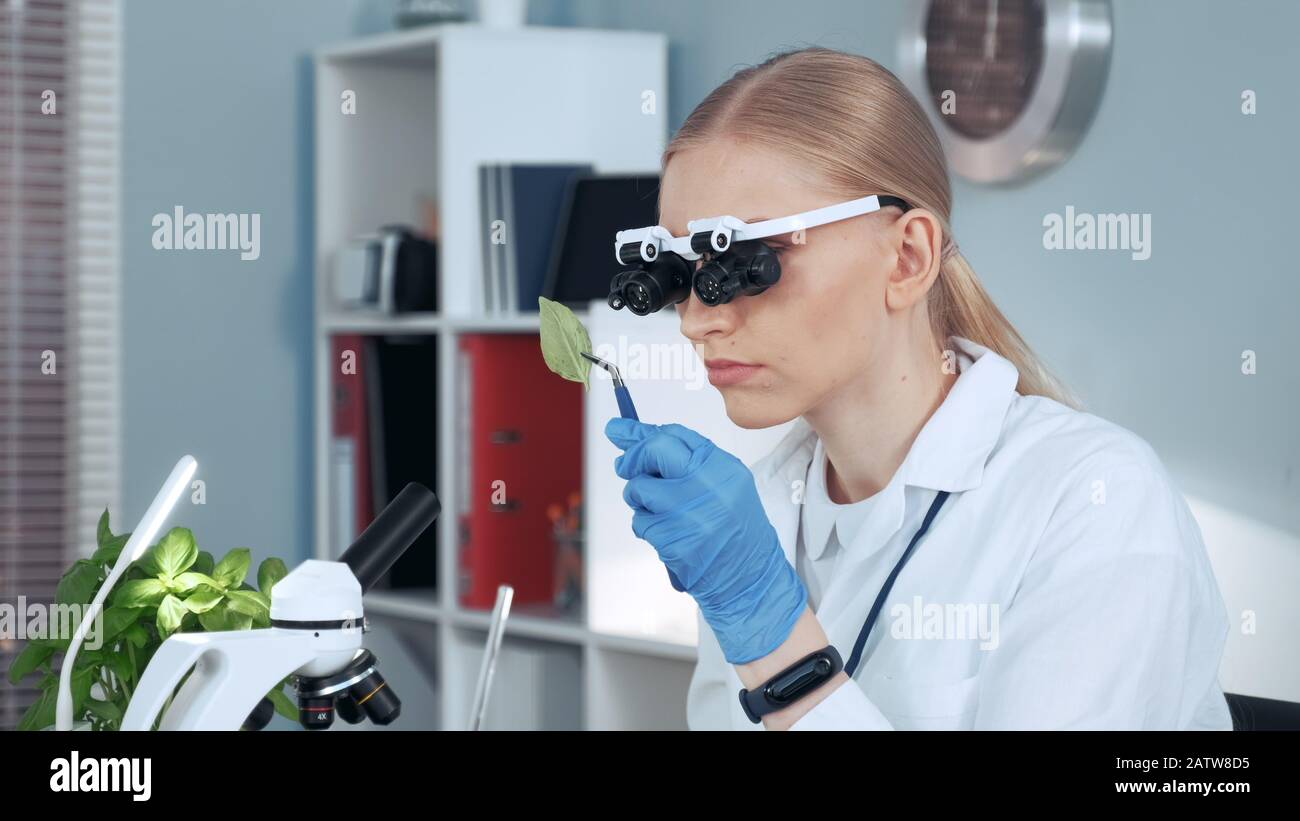 Close-up of female chemistry research scientist in magnifying ...