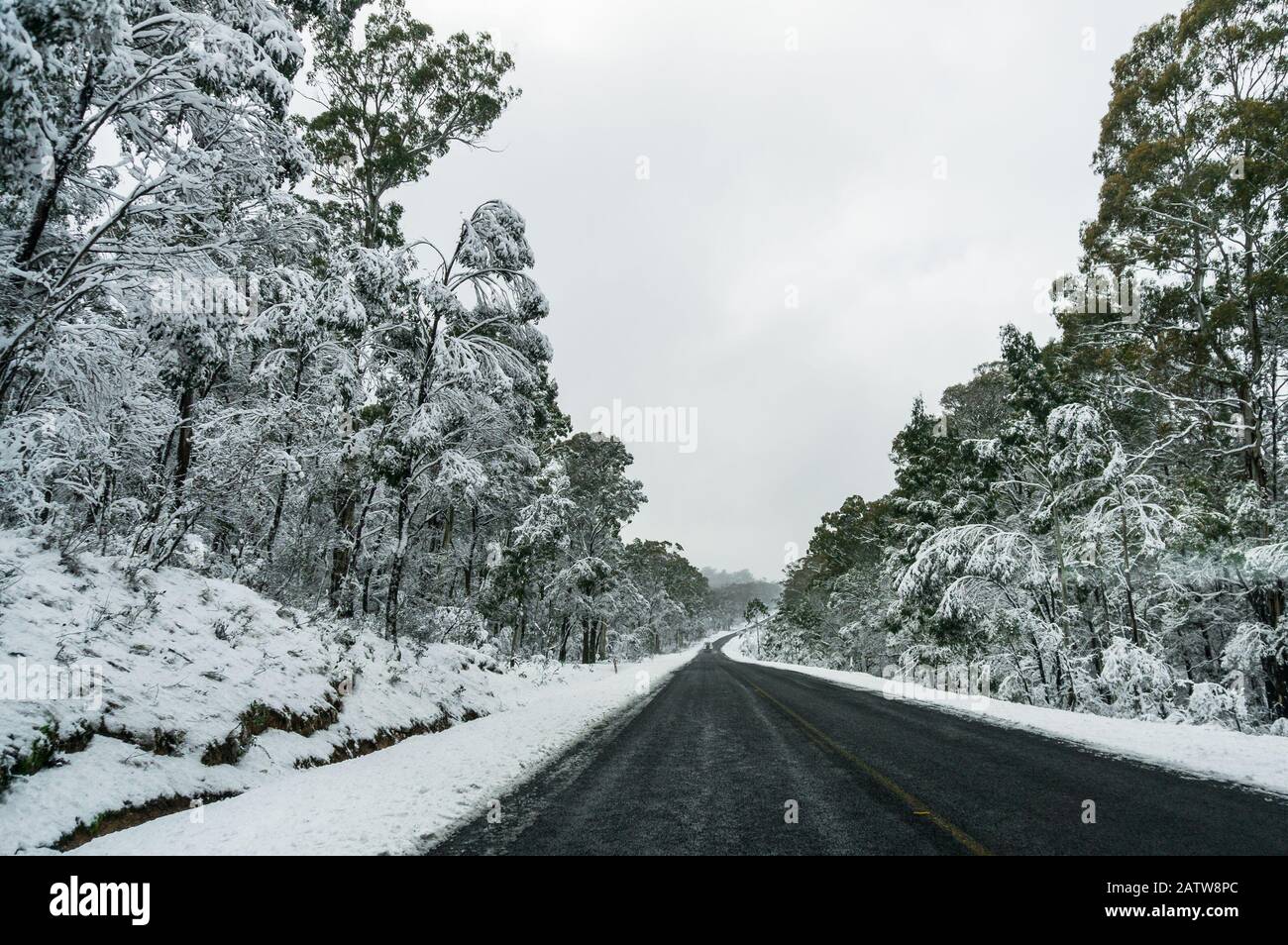 Ice-covered road covered with trees in snow. Winter infrastructure ...