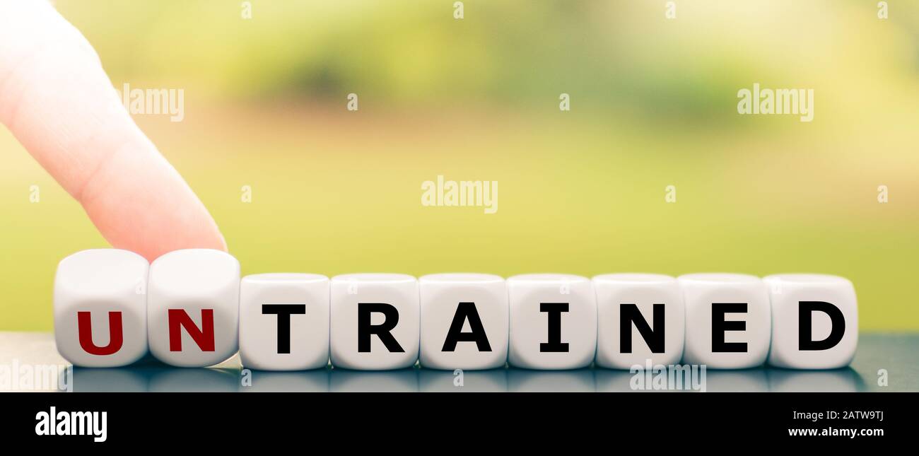 Hand turns dice and changes the word "untrained" to "trained Stock ...