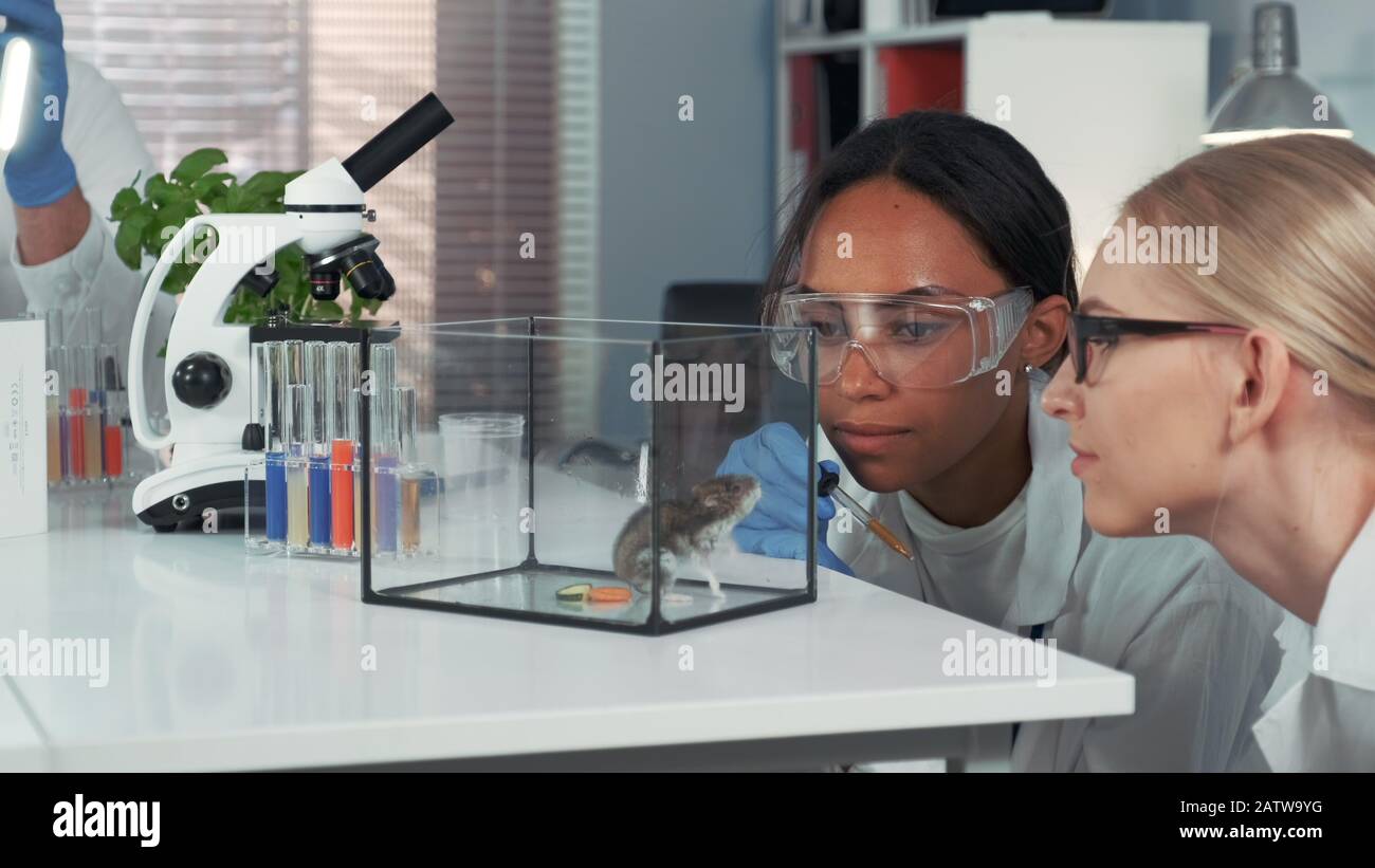 Two multiracial female scientists showing amazement during providing ...