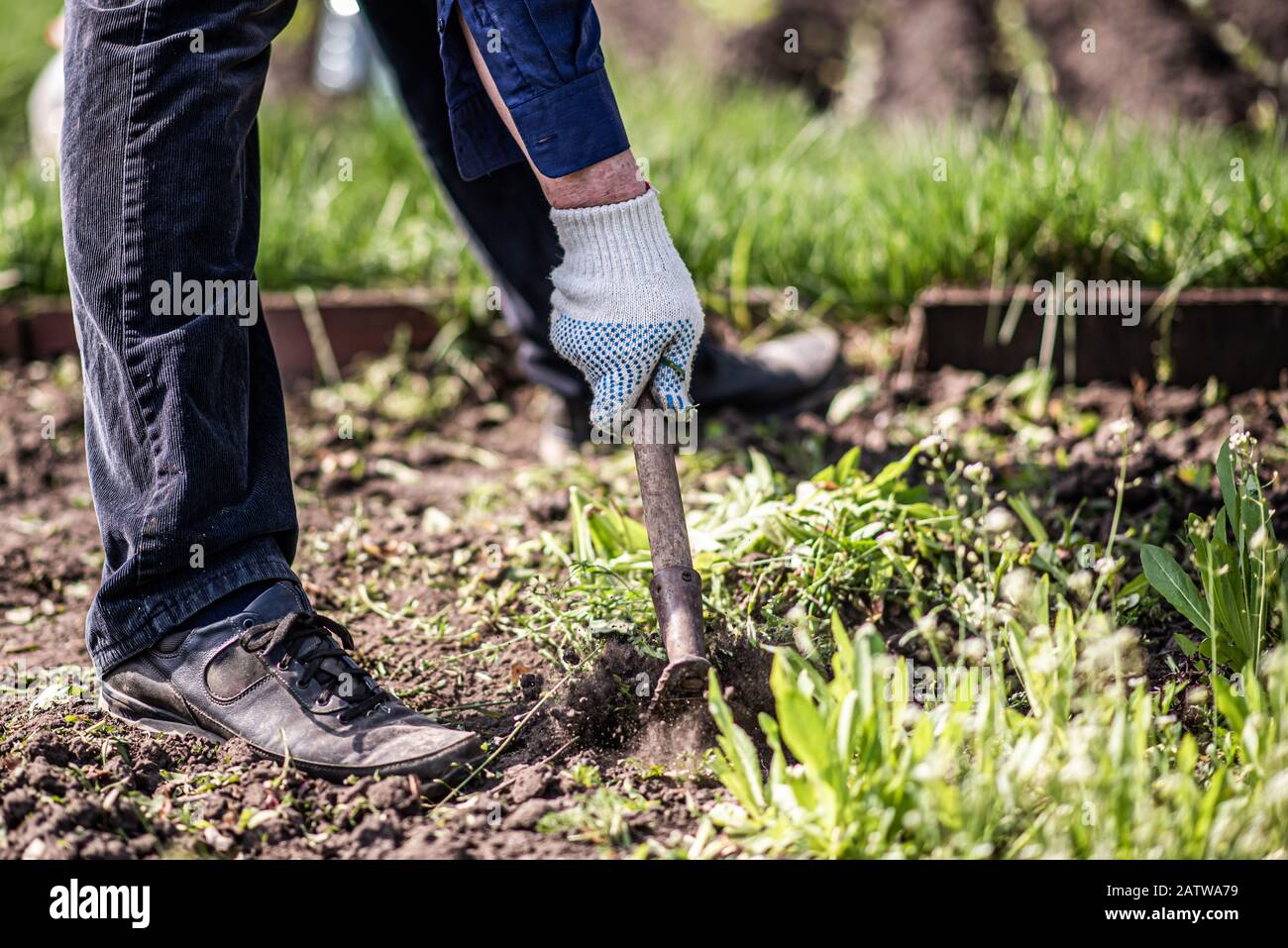 Old man digging ground hi-res stock photography and images - Alamy